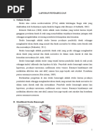 LP Hemiparese-Dextra | PDF