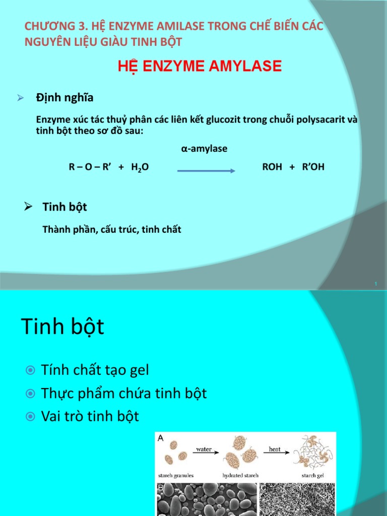 Enzyme Trong CNTP. Ha 3 PDF | PDF