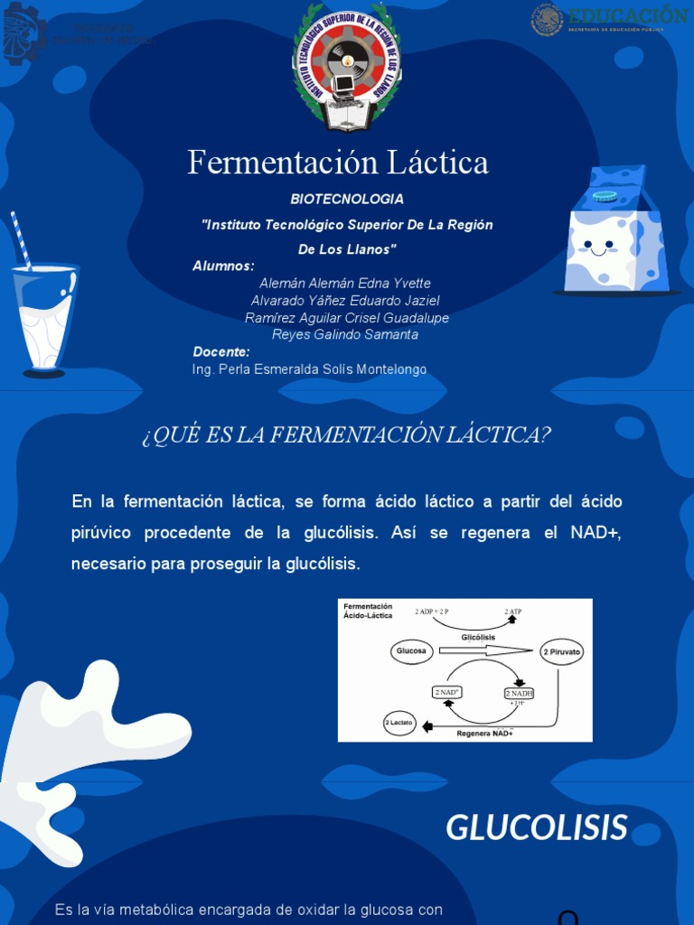 Fermentacion Lactica | PDF