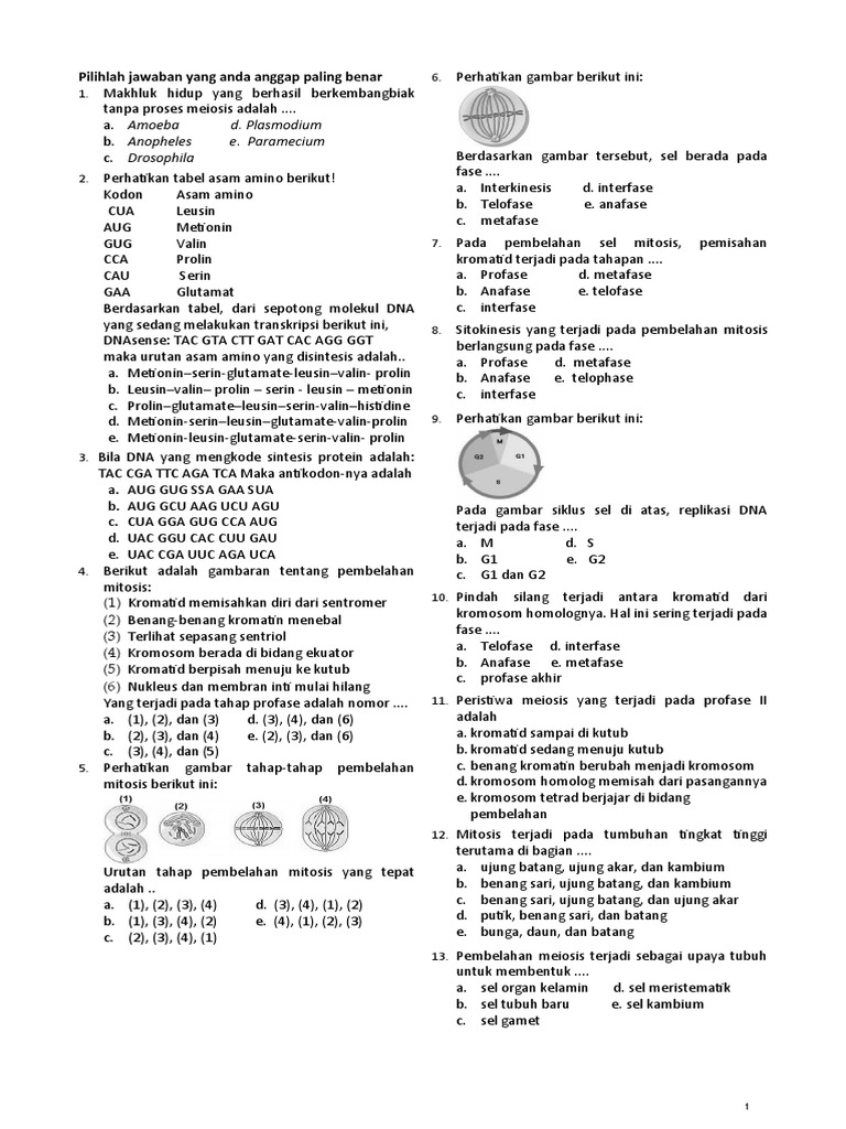 Latihan Soal Desember | PDF