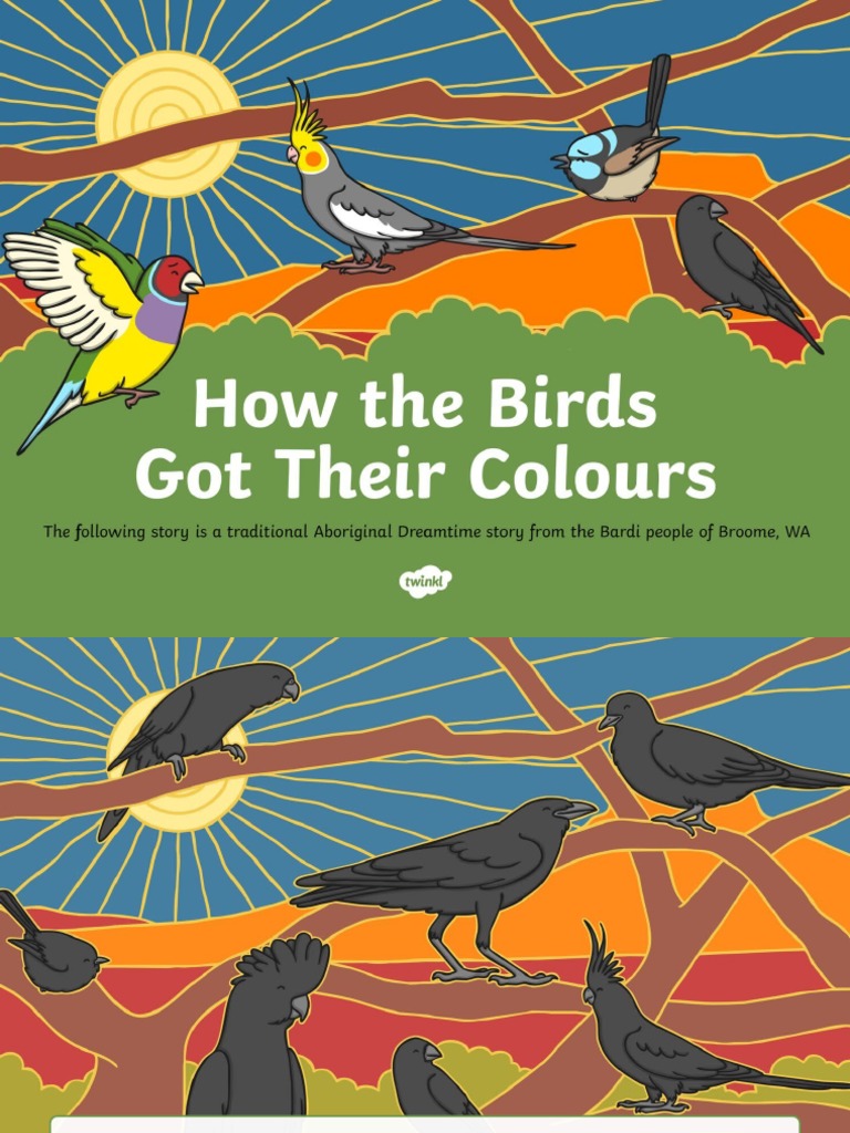 Au H 6 Aborginal Dreamtime How The Birds Got Their Colours Powerpoint ...