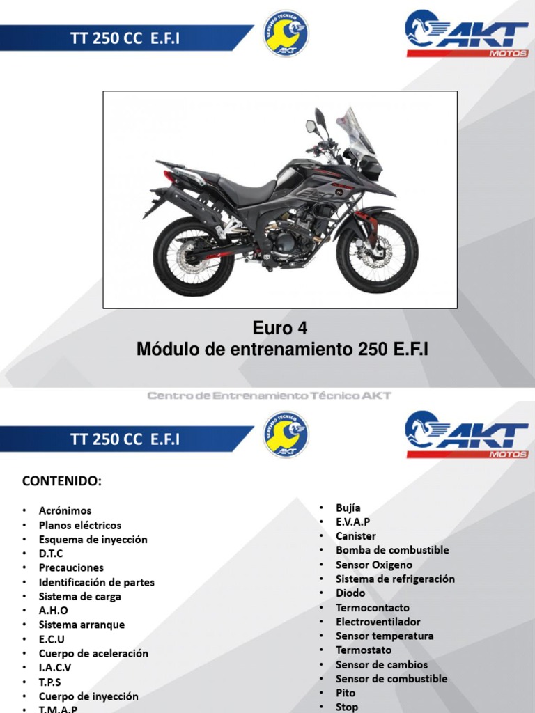 Manual de Taller TT 250 E.F.I. | PDF | Resistor | Inyección de combustible
