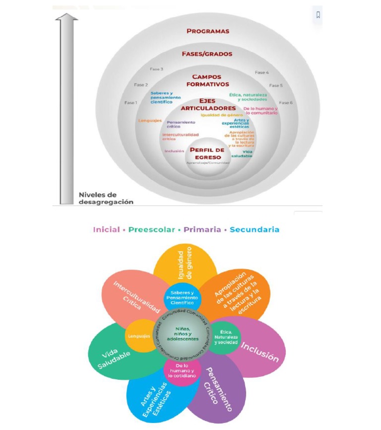 Niveles de Desagregacion y Flor de Campos y Ejes | PDF
