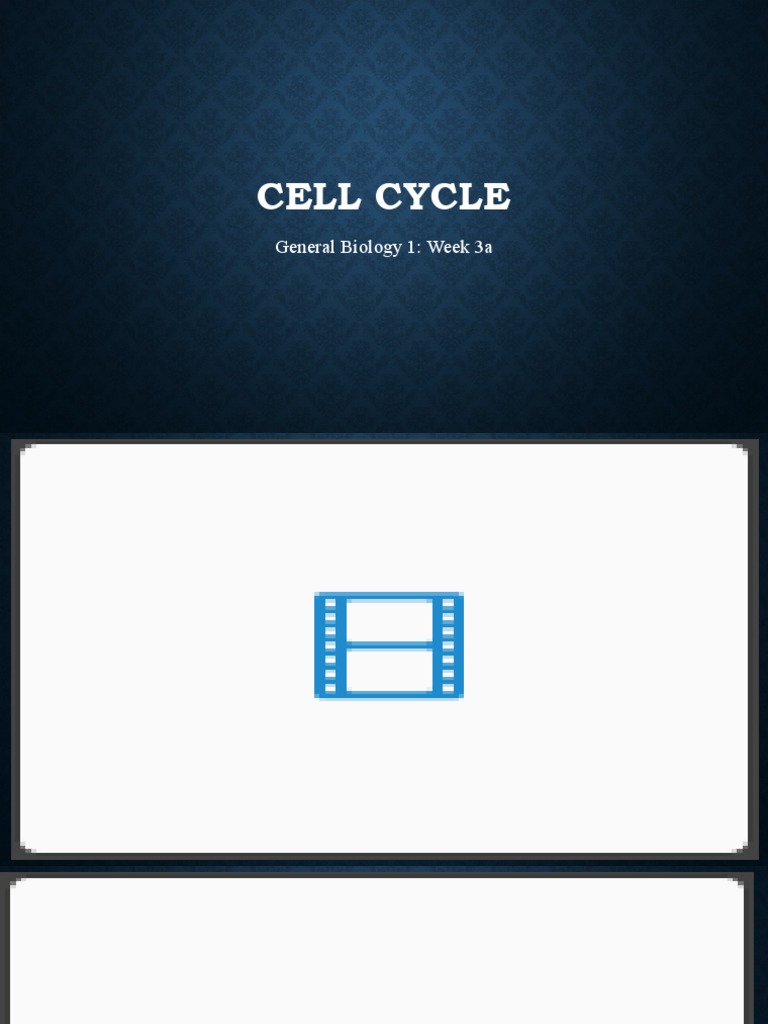 Cell Cycle | PDF | Mitosis | Cell Cycle