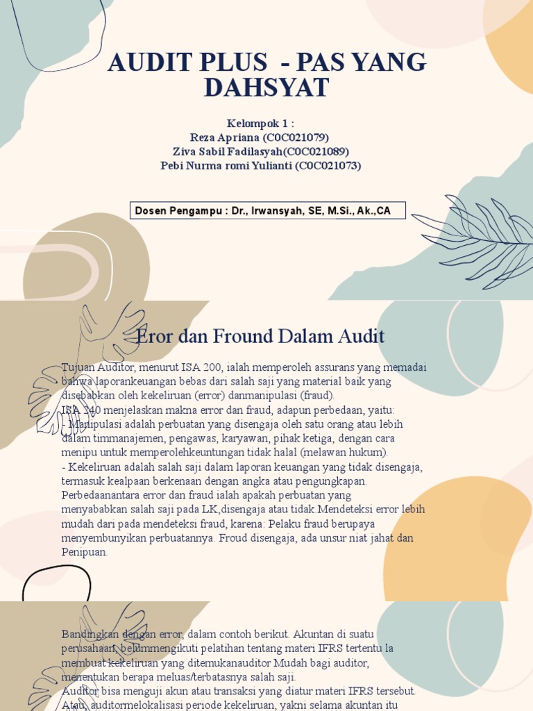 AUDIT PLUS | PDF