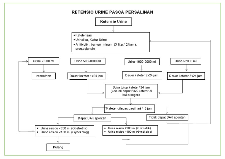 Bagan Alur RETENSIO URINE PASCA PERSALINAN | PDF