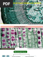 Understanding Compensation Point in Plants | PDF | Photosynthesis ...