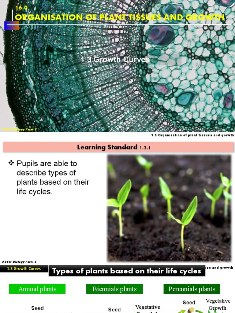 Biology Form 5 Chapter 1 Subtopic 1.3 Growth Curves | PDF | Perennial ...