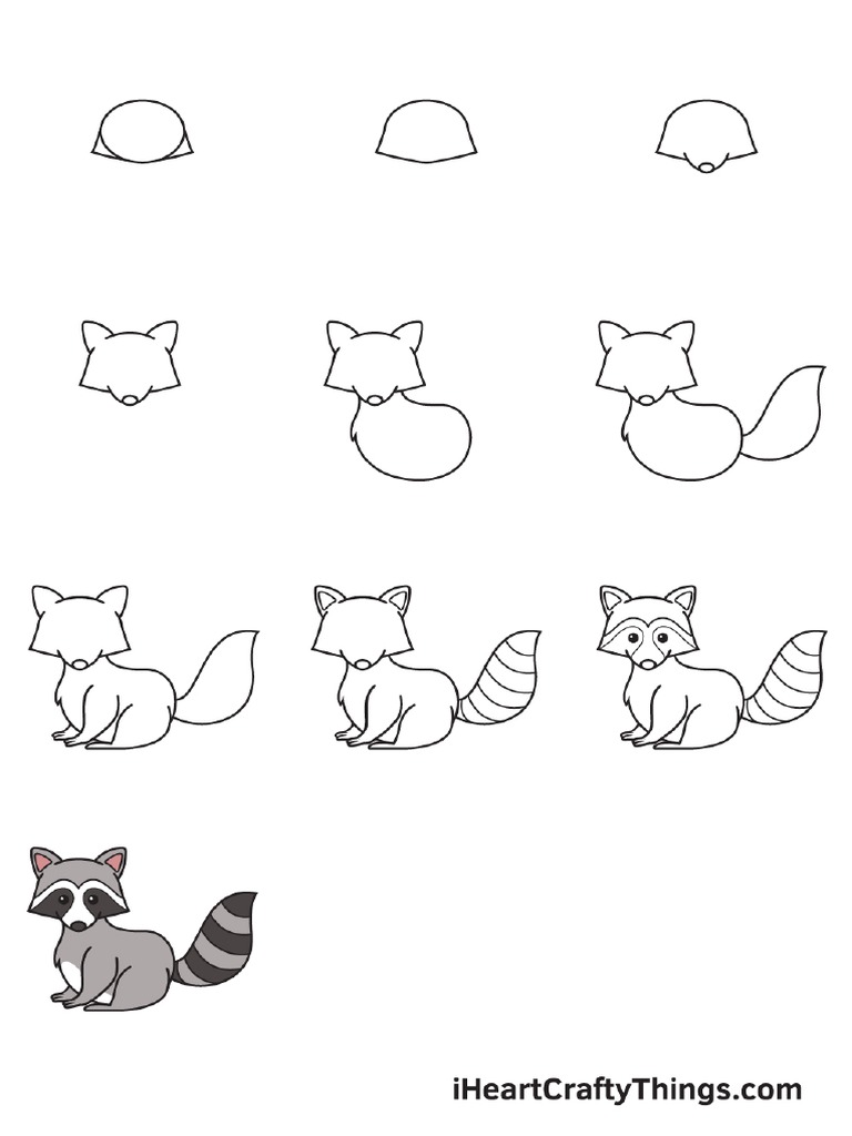 drawing-raccoon-in-10-easy-steps-pdf