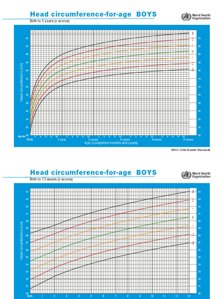 Print Kurva Who & CDC PDF | PDF