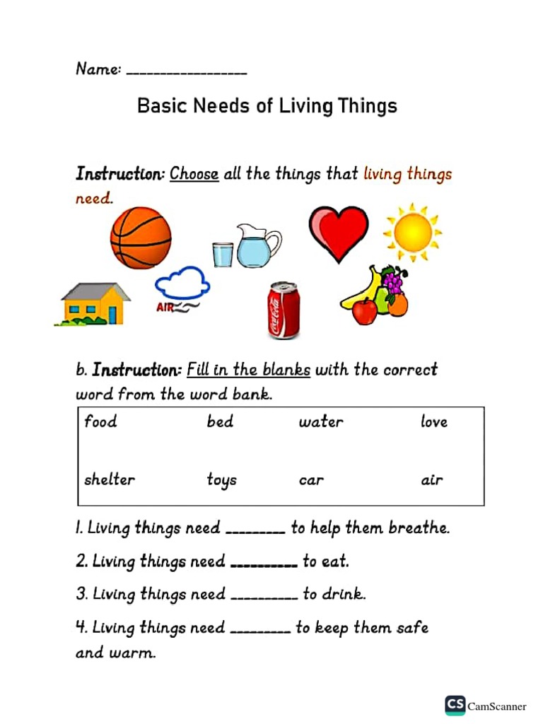 g1 Science Living Things 23 Jan 2023 | PDF