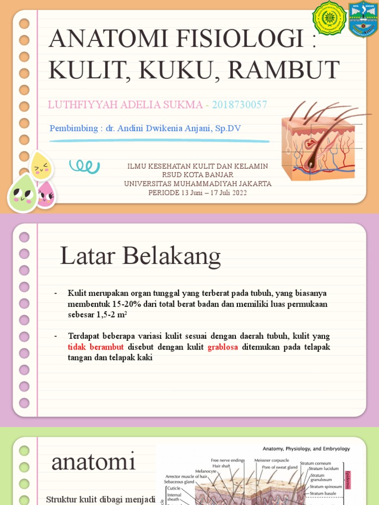 Anatomi Fisiologi Kulit Kuku Rambut | PDF