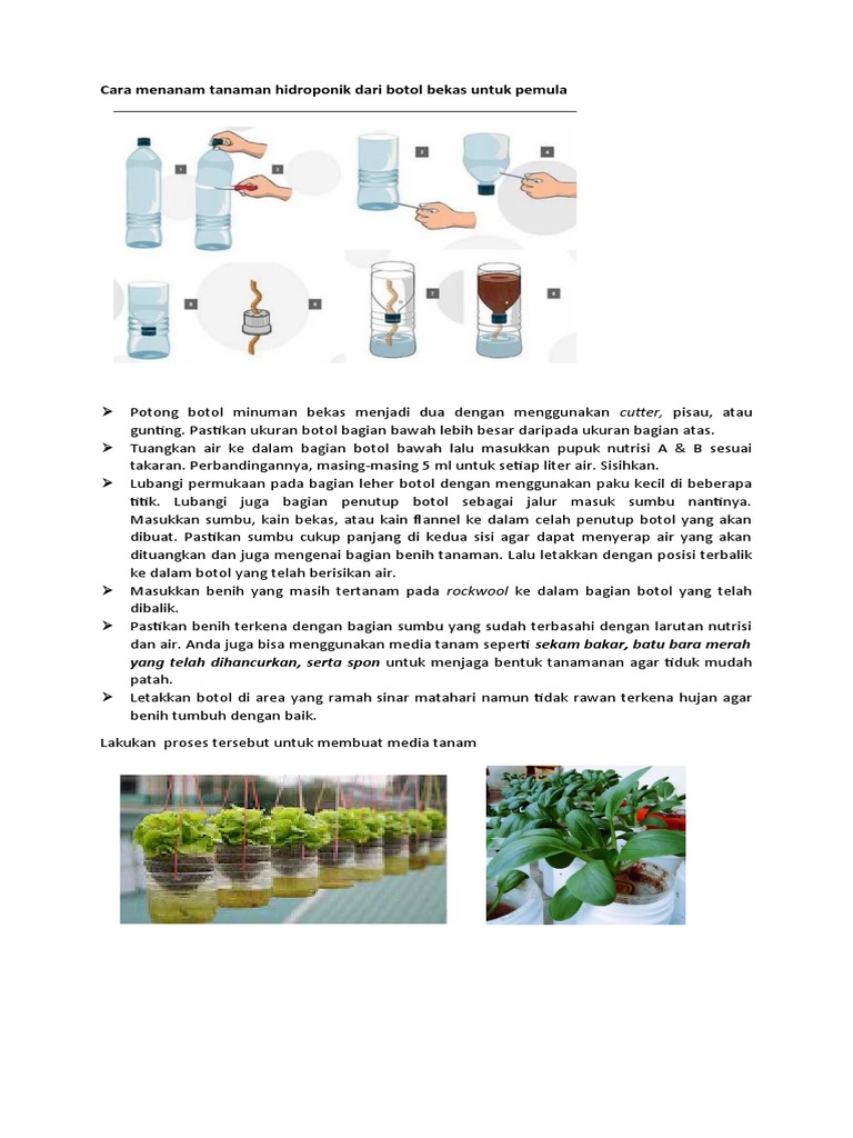 Hidroponik Botol Bekas untuk Pemula | PDF | Griya & Taman