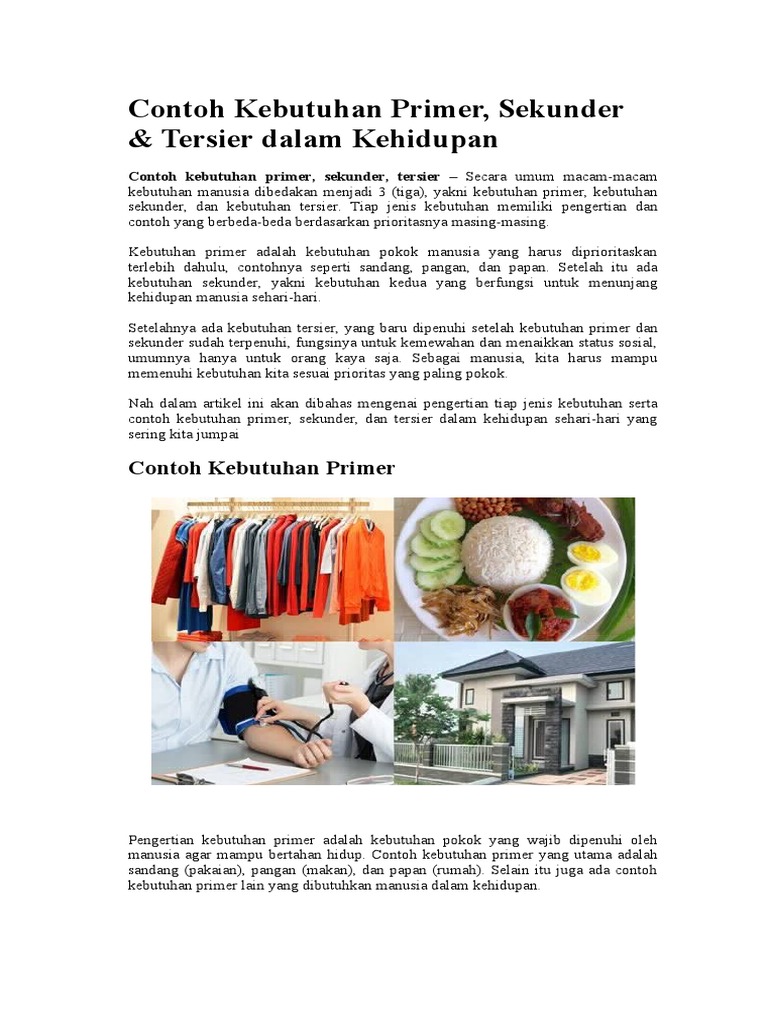 Contoh Kebutuhan Primer, Sekunder, Tersier | PDF
