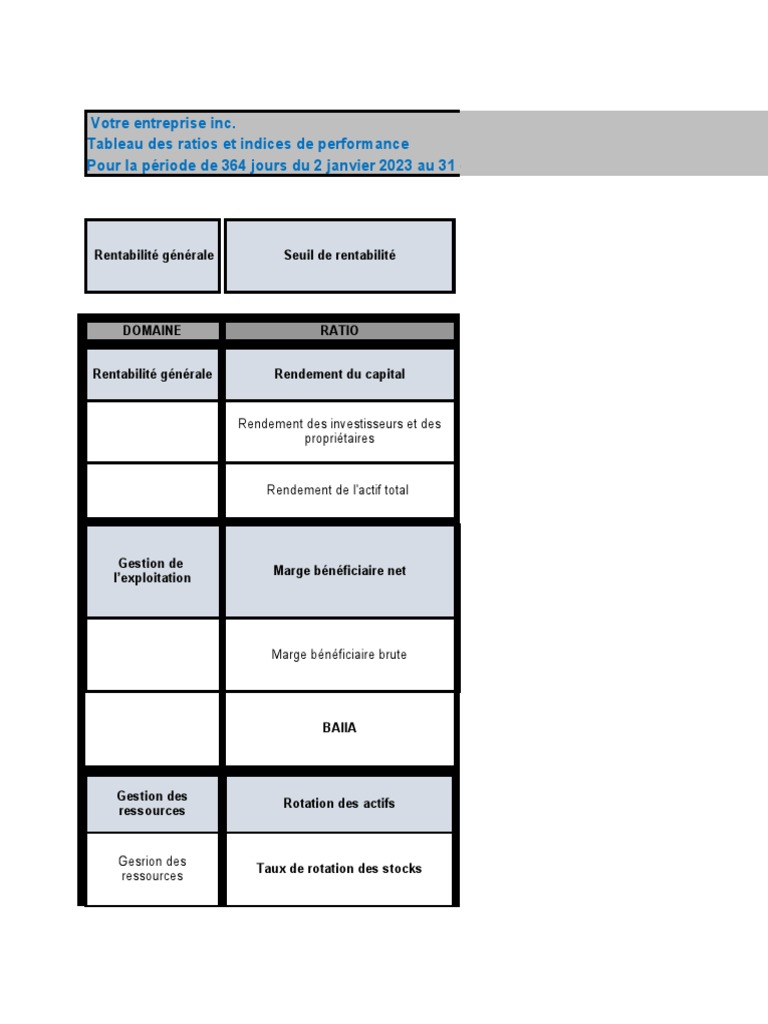 Indicateurs de Performance Financière | PDF | Droit