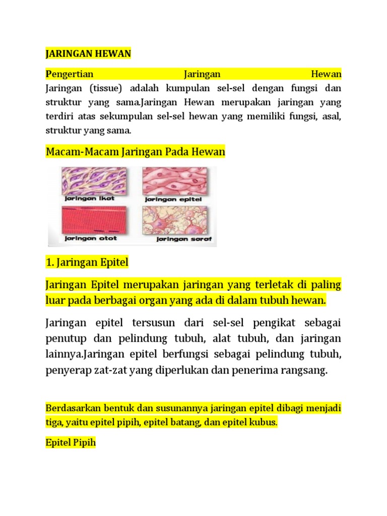 JARINGAN HEWAN-WPS Office | PDF