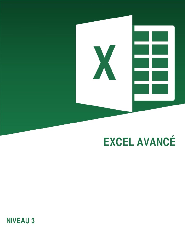 Excel Avancé - Niveau 3 PDF | PDF