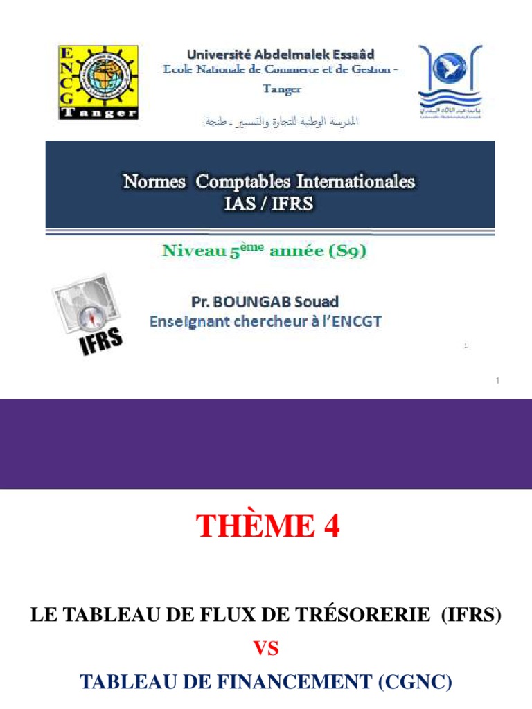 Theme 4 Etat de Flux de Tresorerie PDF | PDF | Investir | Bilan comptable