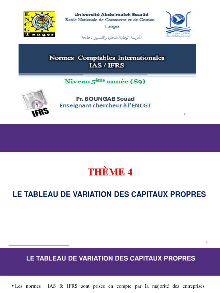 Tableau des variations des capitaux propres | PDF | Capitaux propres ...