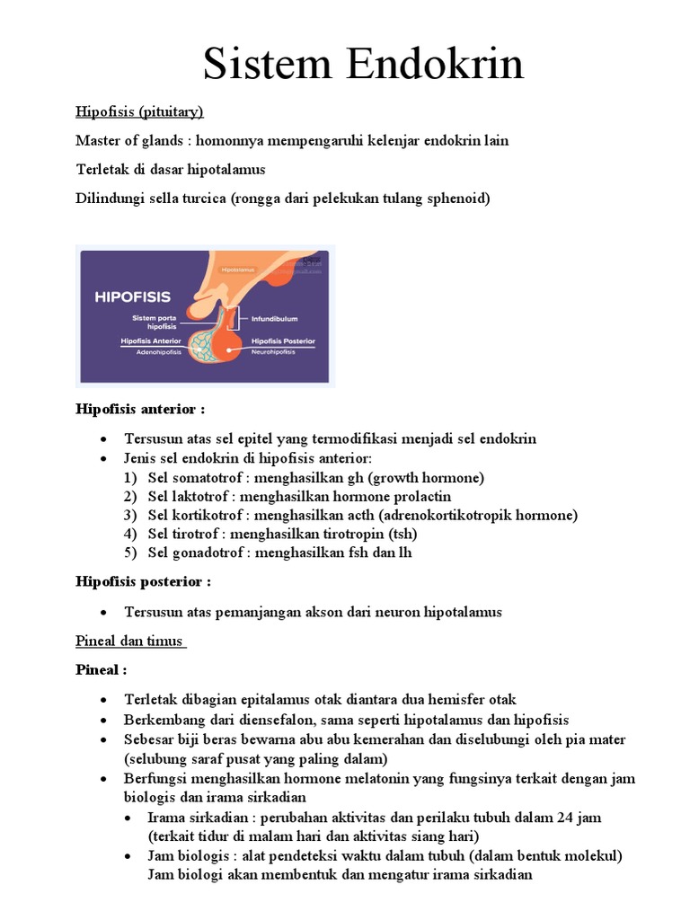 Rangkuman Sistem Endokrin Pdf 