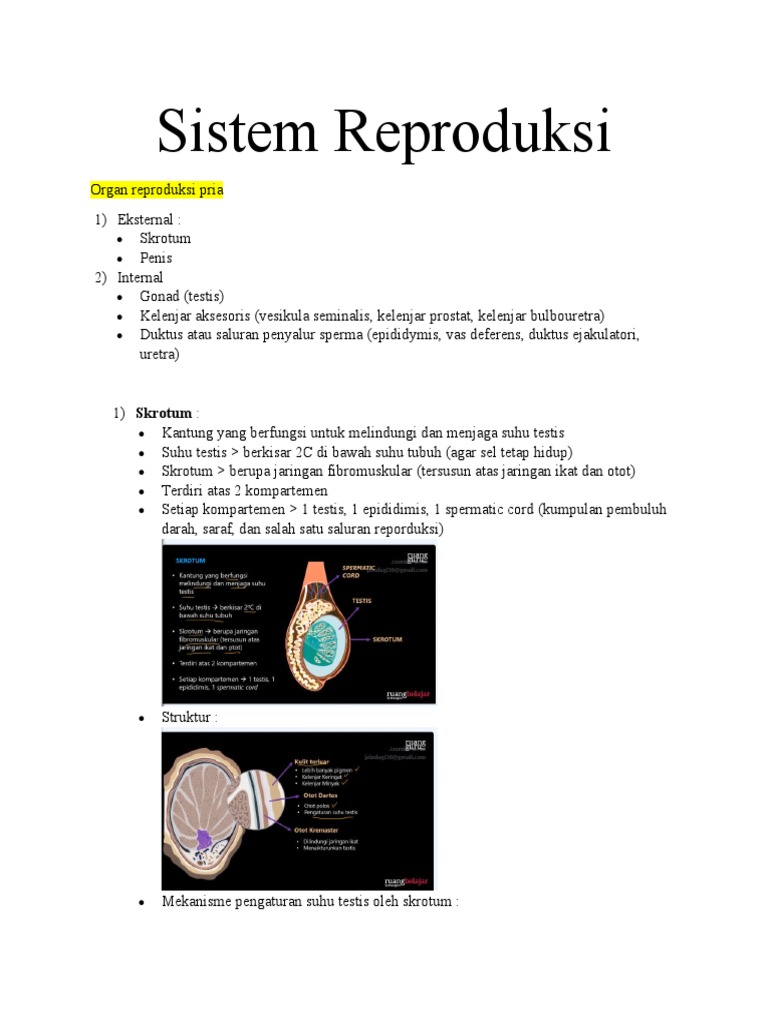 Rangkuman Sistem Reproduksi | PDF | Sains & Matematika