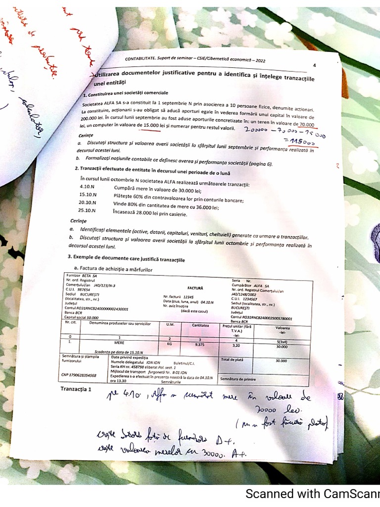 Postoaca Mihnea TS2 | PDF