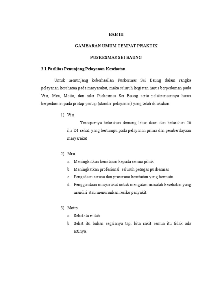 BAB III Sei Baung | PDF