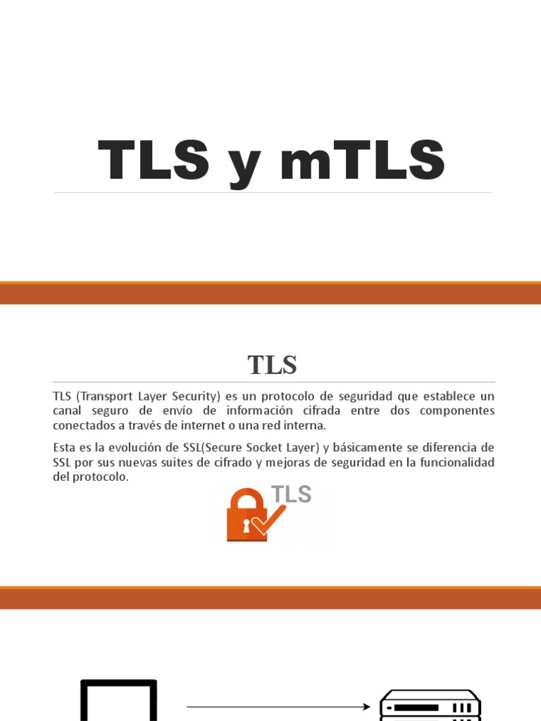 Introducción a TLS y mTLS | PDF | Transport Layer Security ...