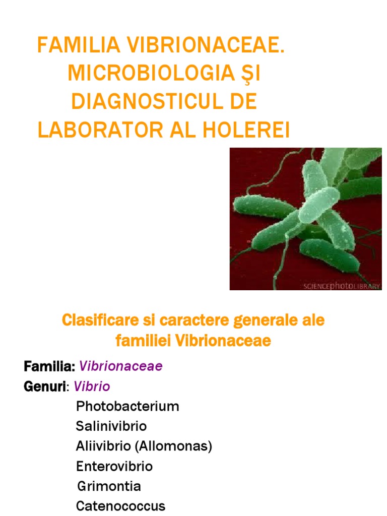 Familia Vibrionaceae-25684 | PDF