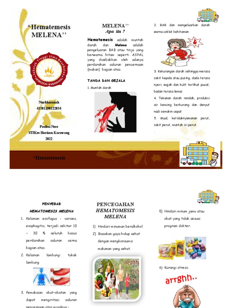 Leaflet Melena Ana | PDF