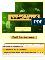 Escherichia Coli Escherichia Coli | PDF | Escherichia coli | Diarrea