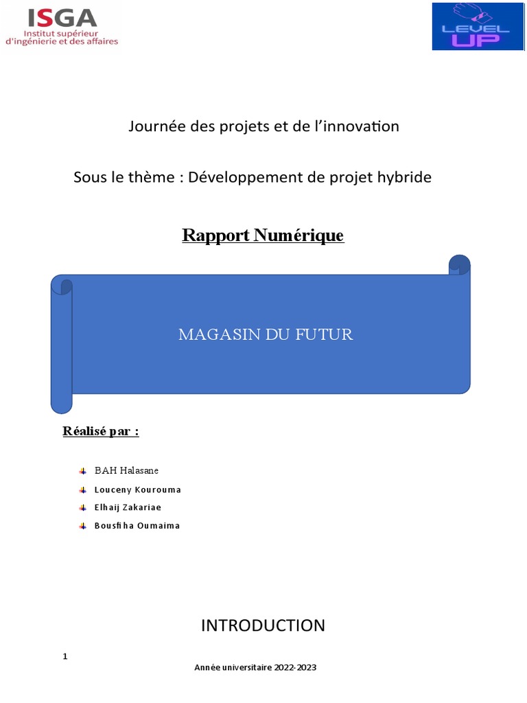Projet Hybride | PDF | Commercialisation | Business
