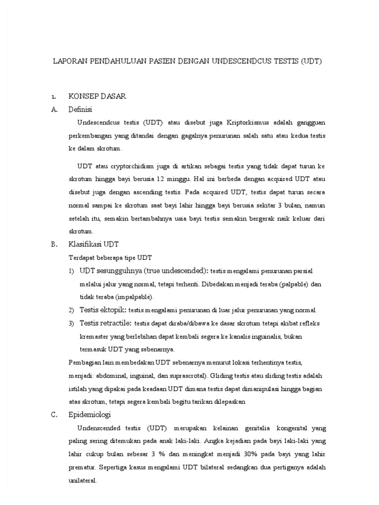 PDF Laporan Pendahuluan Udt | PDF