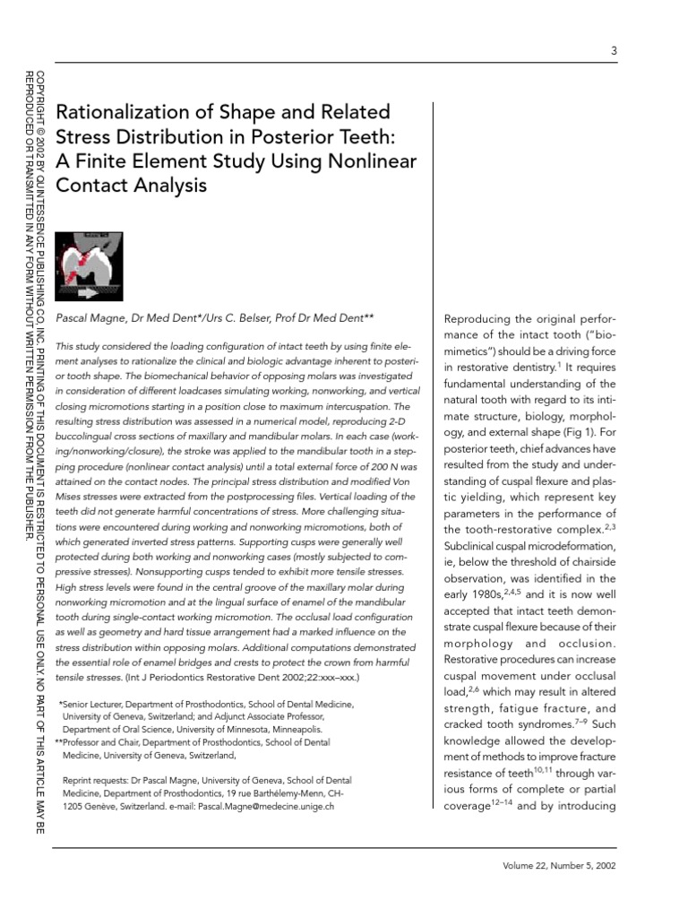 Rationalization of Shape and Related Stress Distribution in Posterior ...