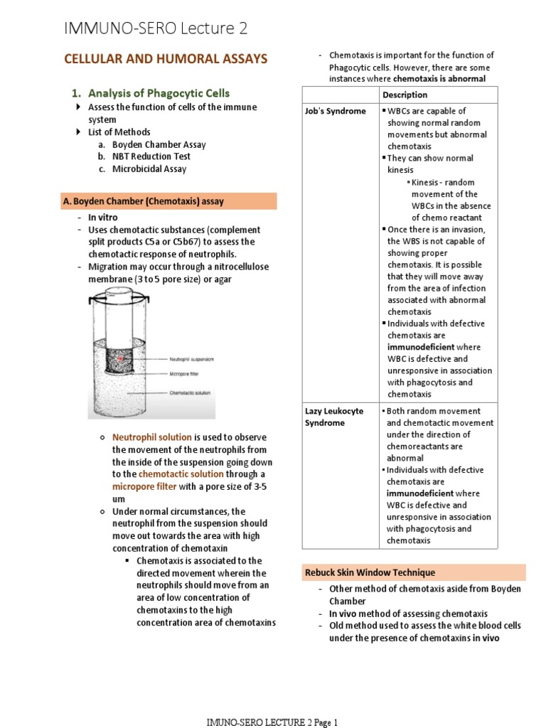 Imuno Sero Lecture 2 | PDF | Complement System | Antibody