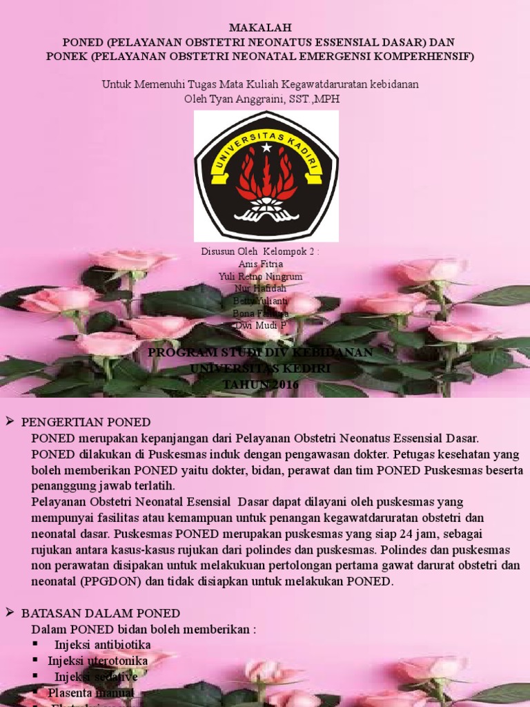 Poned Ponek | PDF | Sains & Matematika