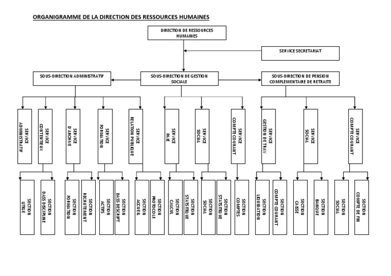 Organigramme DRH | PDF | Gestion des ressources humaines | Business