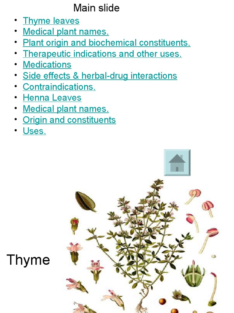 L. Thyme+Henna | PDF | Gastroesophageal Reflux Disease | Thyme