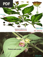 BRGHGMC History | PDF | Hospital | Medical Specialties