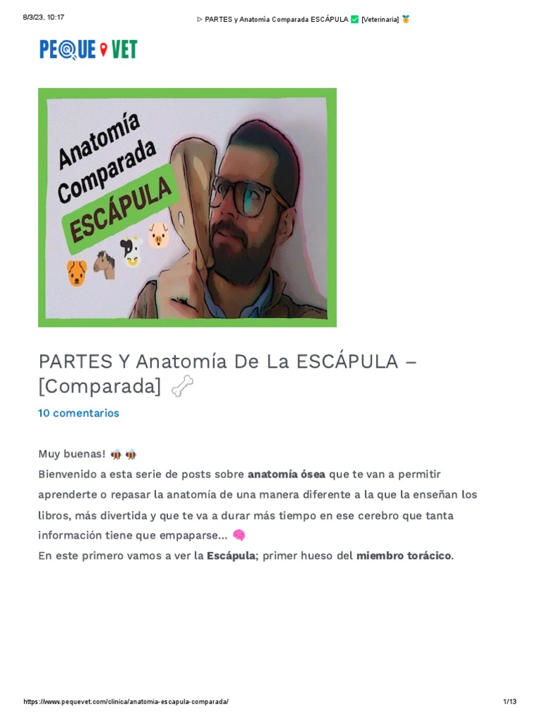 PARTES y Anatomía Comparada ESCÁPULA (Veterinaria) ? | PDF | Sistema ...