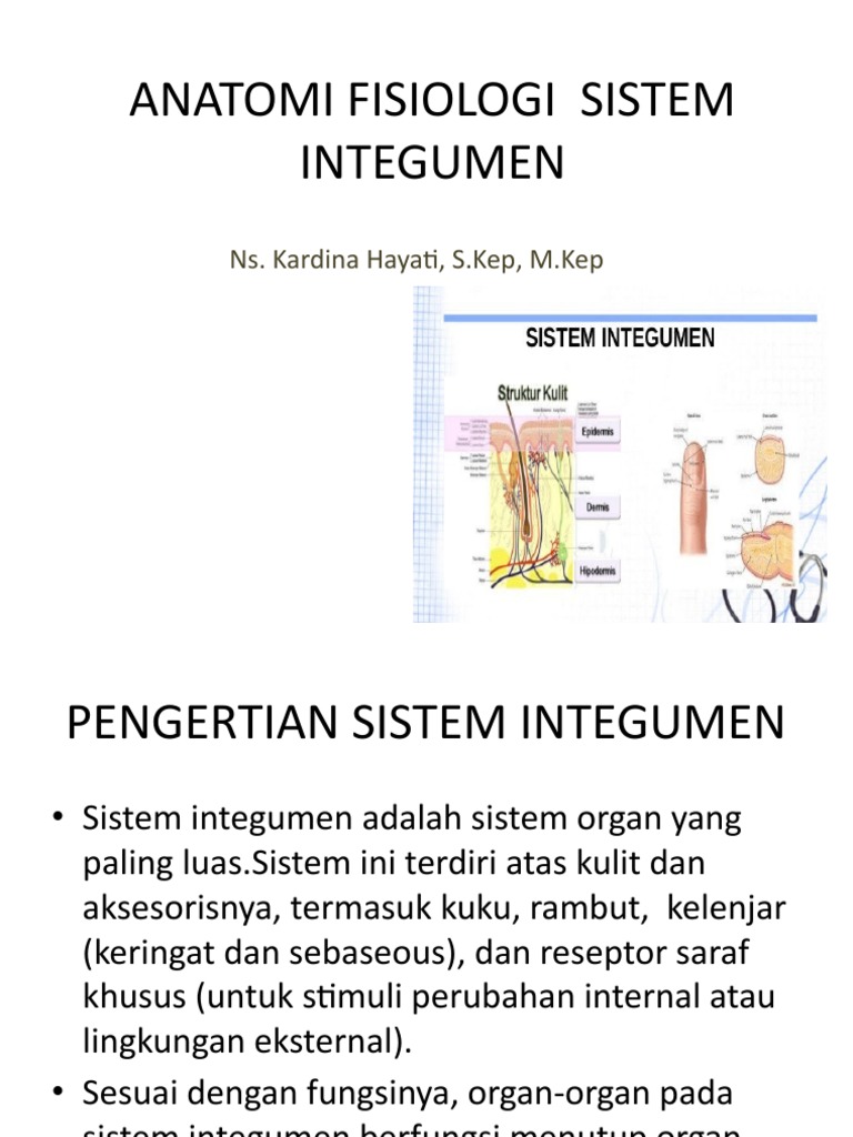 Anatomi Fisiologi Sistem Integumen | PDF | Griya & Taman