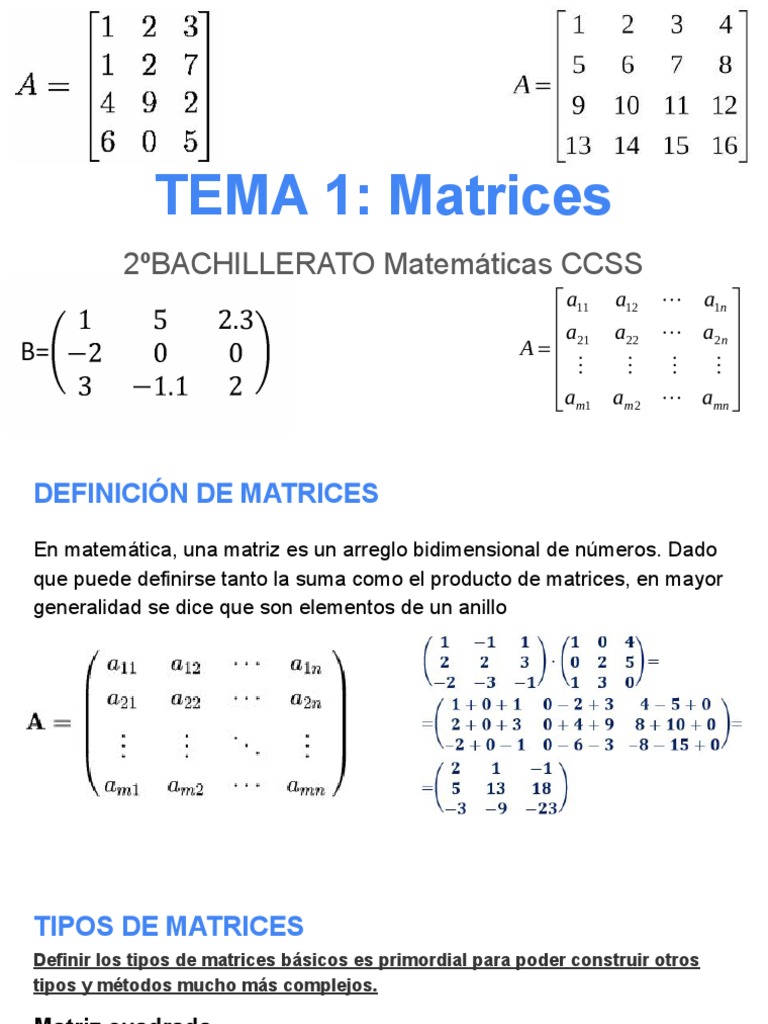 TEMA 1 - Matrices | PDF | Matriz (Matemáticas) | División (Matemáticas)
