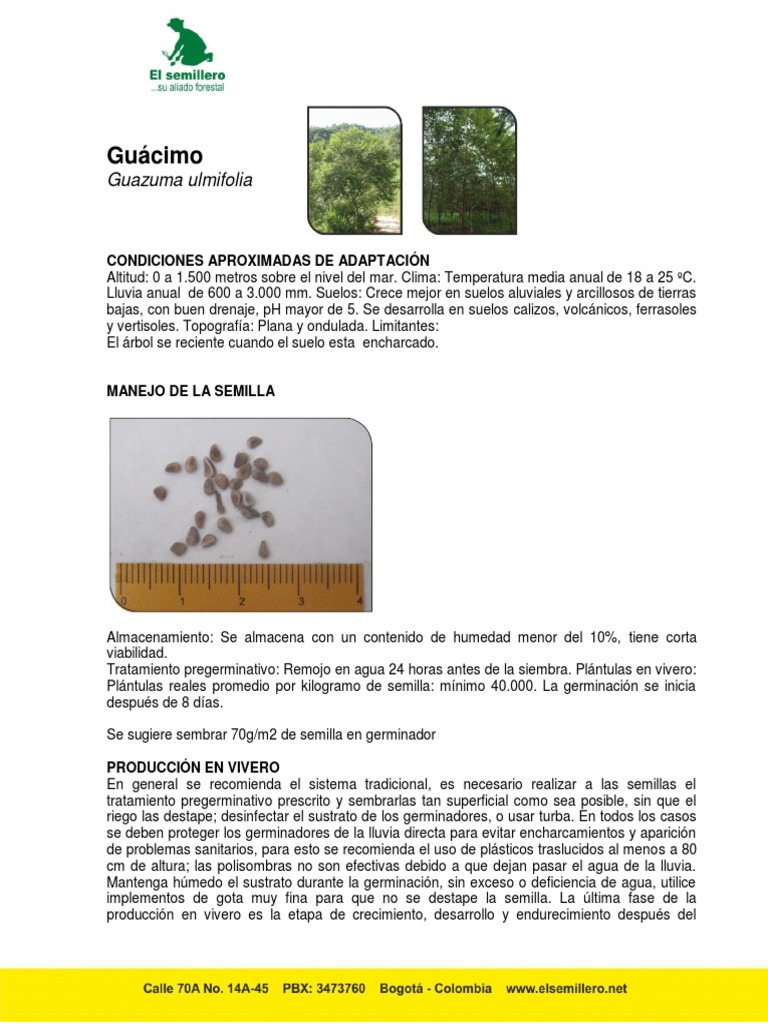 Guácimo | PDF | Semilla | Germinación
