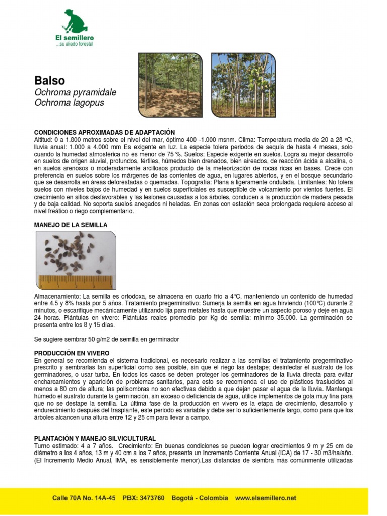Balso | PDF | Madera | Semilla