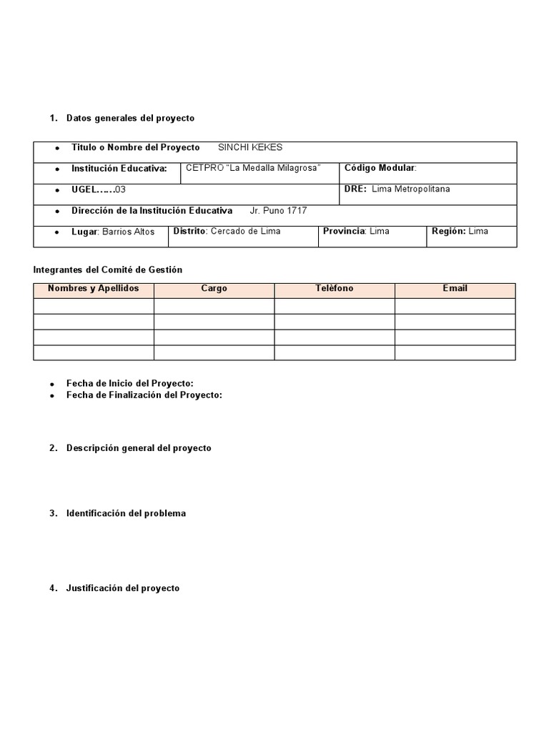 2022 Formato Proyecto de Innovaciòn Carmen Datos Generales Del Proyecto ...