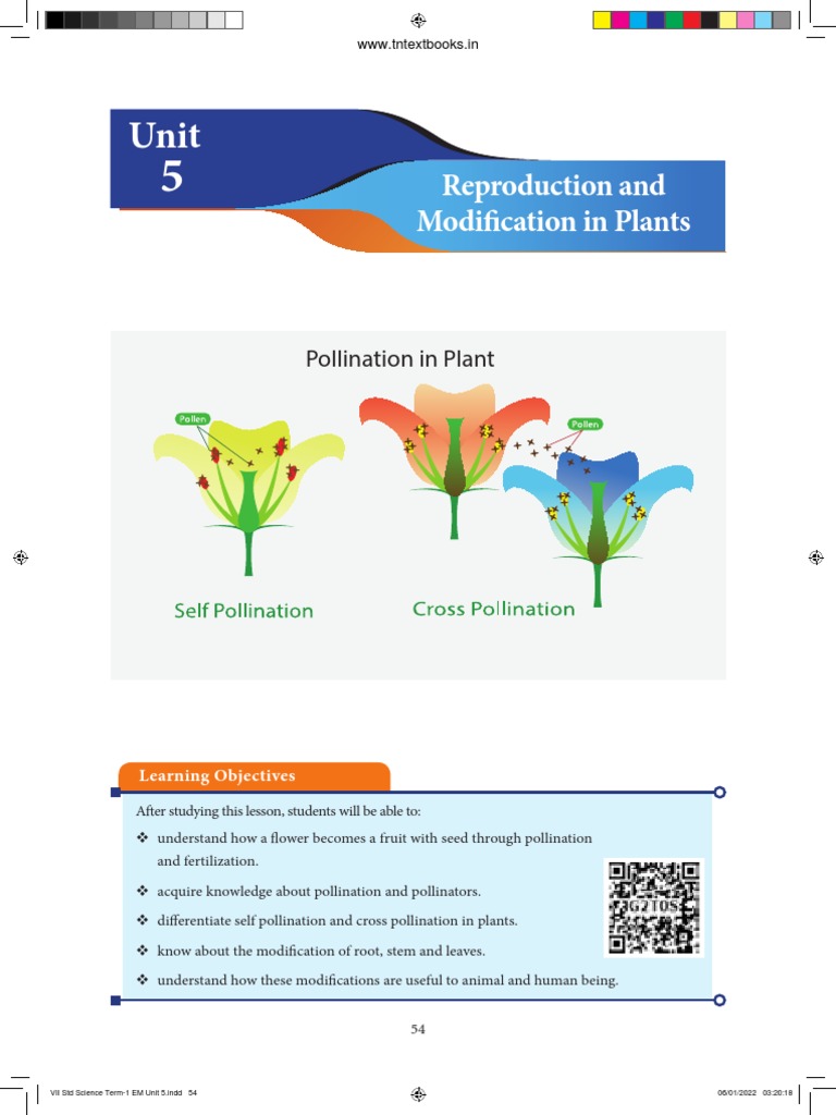 Reproduction and Modification in Plants English | Download Free PDF ...