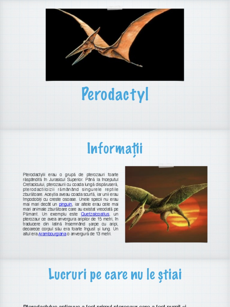 Perodactyl | PDF
