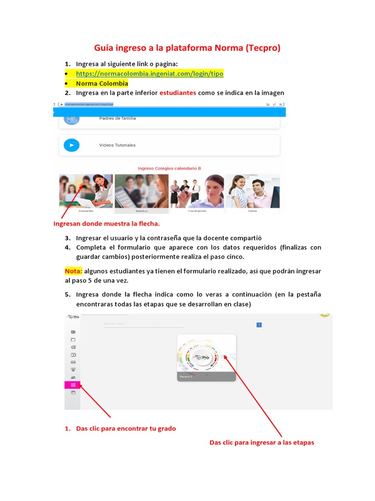 Guía de acceso a Norma (Tecpro) | PDF