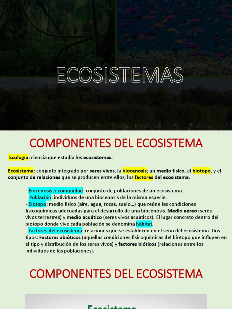 Componentes y Adaptaciones del Ecosistema | PDF | Termorregulación ...