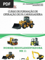 Certificado NR11 - Modelo | PDF